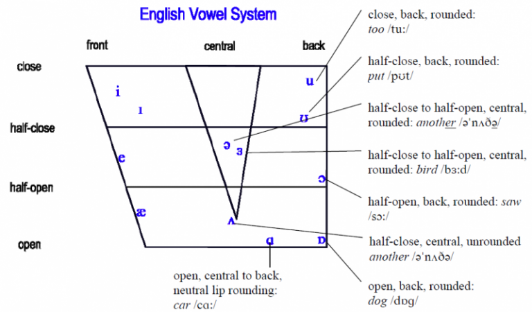 Phonological Friday: Vowel Sounds|GARFORTH EDUCATION